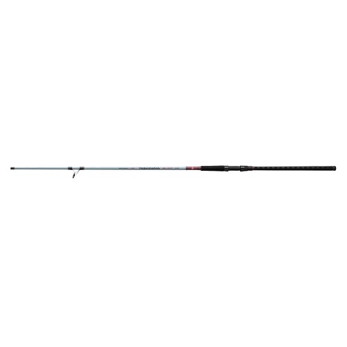 Daiwa Team Daiwa Surf Rods – fishingreelrods.com